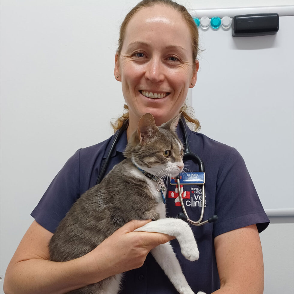 Meet Our Vet Surgeons - Bunbury + Eaton Vet Clinic